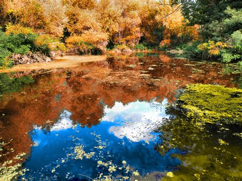 배경 화면 물 반사 못 걸출한 사진 작가 3648x2736 929778 배경 화면 Wallhere