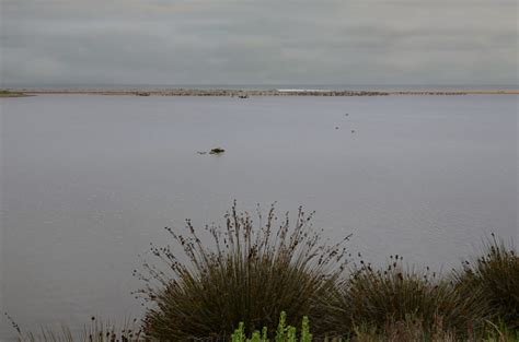 미국 캘리포니아 말리부 라군 스테이트 비치 2023년 5월 20일 흐린 날씨에 놀라운 자연의 아름다움을 간직한 석호 전망의 세부 정보 0명에 대한 스톡 사진 및 기타 이미지