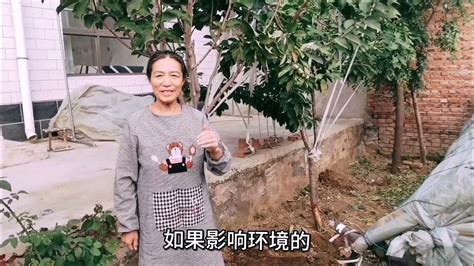 动物内脏，死鸡死猪死狗发酵好了，都是最肥最好的肥料 Youtube