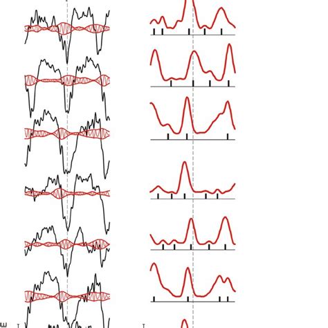 Pdf Dynamic Coupling Between Slow Waves And Sleep Spindles During Slow Wave Sleep In Humans Is
