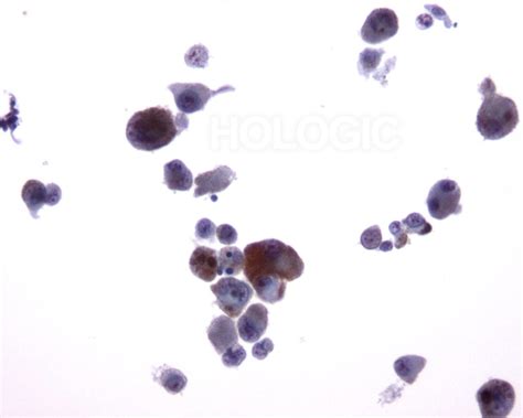 Expand All Collapse All