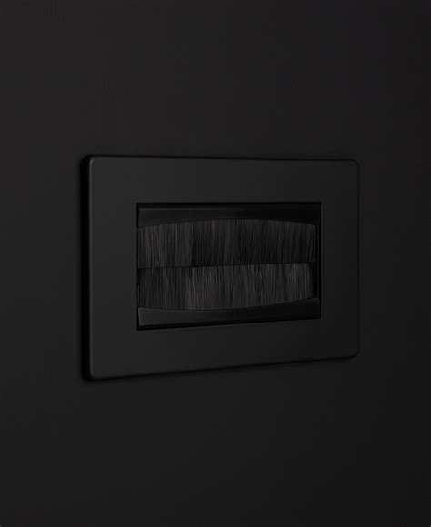 Black Double Brush Plate Brush Plate With Black Or White Insert