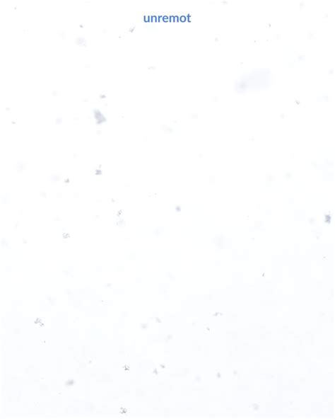 Unremot Techstars 21 On Linkedin Jasper Api