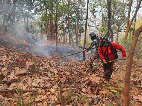 เครือซีพี มอบน้ำดื่มสนับสนุนภารกิจเจ้าหน้าที่อุทยานนันบุรีดับไฟป่า จ น่าน