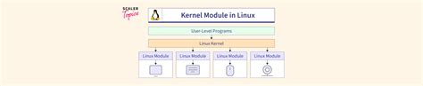 What Is A Kernel Module In Linux Scaler Topics