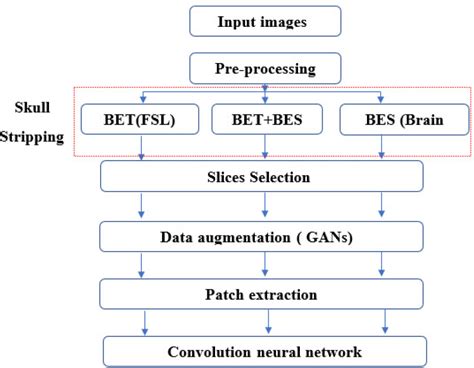 Diagram Illustrates The Outline That Is Used In Our Work Starting With Download Scientific