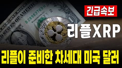 리플 전망 리플이 준비한 차세대 미국 달러 긴급속보 리플 Xrp Sec 리플소송 크립토바이브 갈링하우스