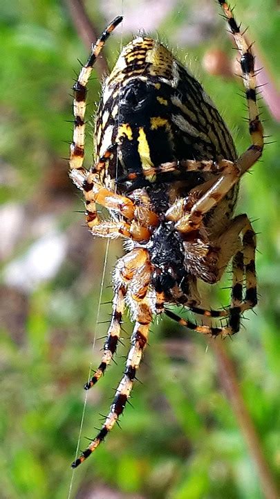 Mobile First Best Practices For Transforming Your Angular Web App