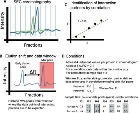 Workflow Of Identification Of Interacting Proteins Candidates And