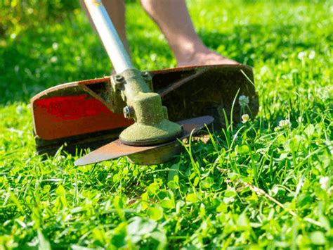 How Does A Lawn Edger Work Everything You Should Know Vevor Blog