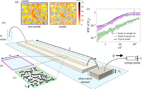 The Analytical Solution Cx T Of The One Dimensional Advection