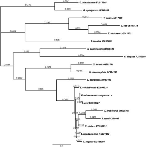 Phylogenetic Tree Comparing 18 Nematode Species With Published Its 2