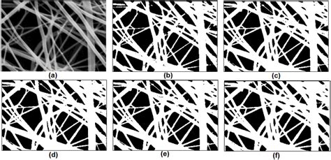 Fig11 A Nano Fiber Image B Otsu Segmentation C Local Download Scientific Diagram
