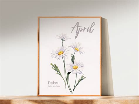 April Birth Flower Wall Art Watercolor Daisies Art Print Botanical