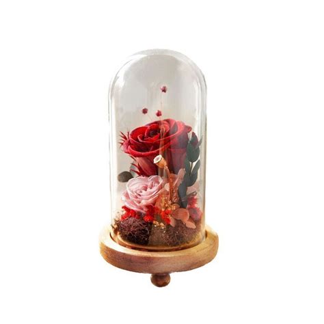 Snowy Flower Preserved Rose Glass Dome Watsons Malaysia