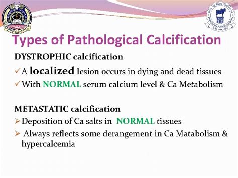 Pathological Calcification Kaushal Kumar Assistant Professor Head Department