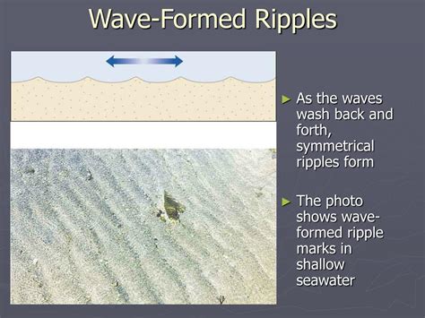 Ppt Sedimentary Rocks Powerpoint Presentation Free Download Id3122273