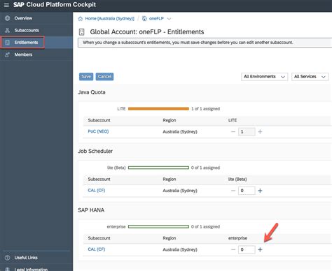 Setting Up The New Hana Service In Sap Cloud Platf Sap Community