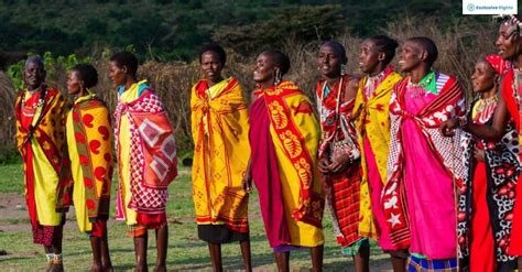 Female Circumcision In Africa A Revealing Guide