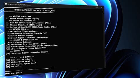 Windows Maintenance Tool Sayro Digital