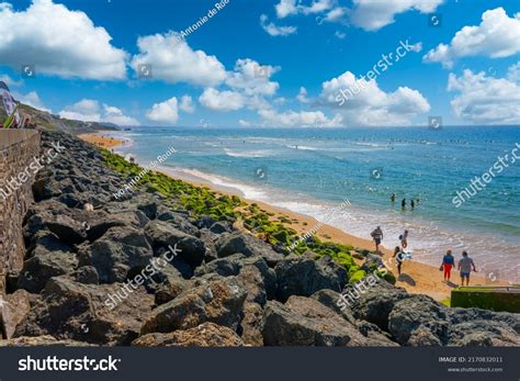 44 Cote De Basque 이미지 스톡 사진 및 벡터 Shutterstock