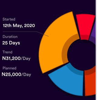 Can I Achieve This Type Of Pie Chart Designs With Flutter Stack Overflow