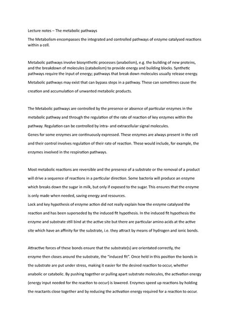 Lecture Notes The Metabolic Pathways Lecture Notes The Metabolic Pathways The Metabolism