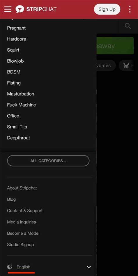 How To Change The Language On Stripchat Stripchat FAQ