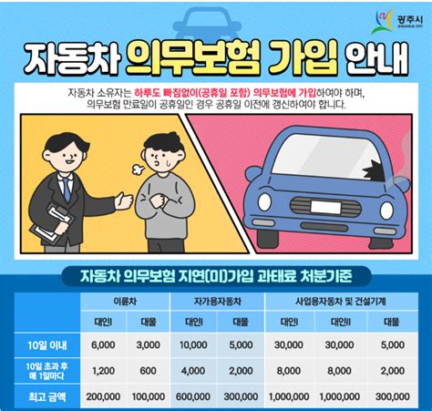 자동차 의무보험 가입 내용 및 미가입 벌금 과태료 확인