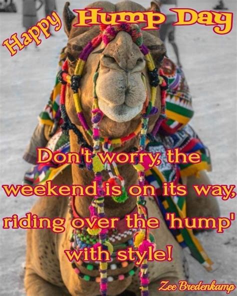 Pin By Gale On Hump Day Hump Day Humor Good Morning Image Quotes