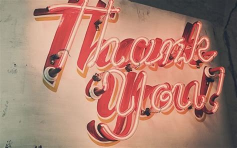 101 бесплатный красивый шрифт Canva