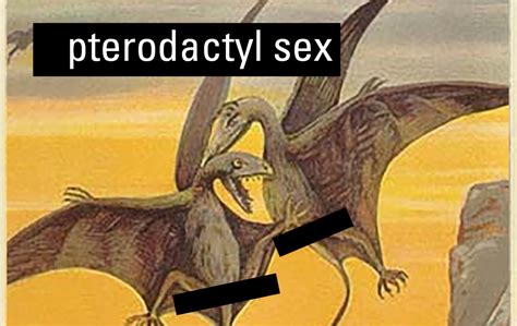 Rb Premiere Paz ‘pterodactyl Sex Relentless Beats