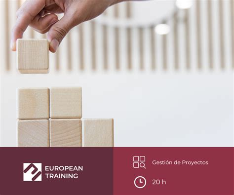 Roles En La Gestión De Proyectos Profesional European Training