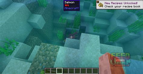 Wthit Mod 1 21 3 What Is That