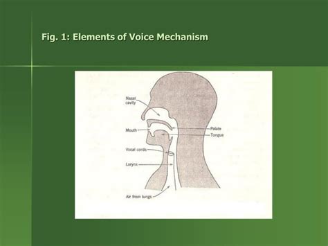 Acoustics Of Speech Latest Pdf