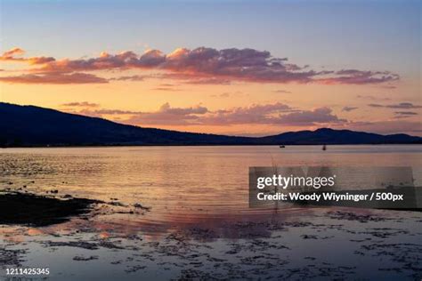 Sunset Carson Photos And Premium High Res Pictures Getty Images