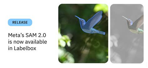 Faster Image Segmentation With Metas Segment Anything 20