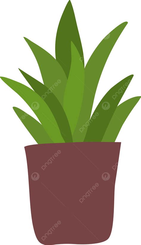 Decorative Plants Vector Plants Decorative Green Png And Vector With