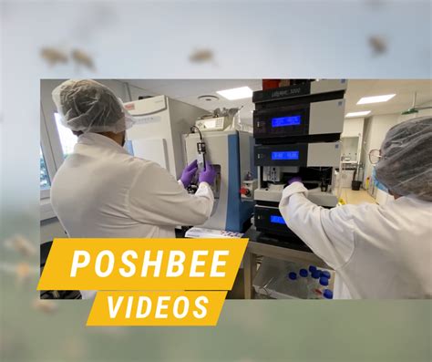 Poshbee New Poshbee Video Workflow For Bee Haemolymph Analysis
