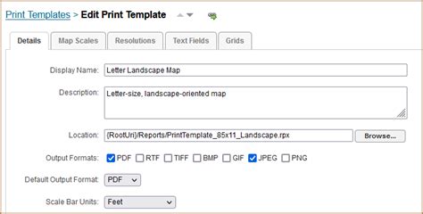 how to define print template options vertigis support