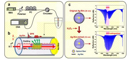 Ag Coated Tfbg Spr System A Experimental Setup Of Glucose Detection