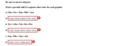 Solved Be Sure To Answer All Partswrite A Possible Mrna