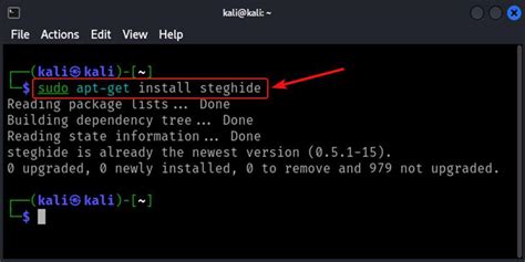 How To Use Steghide And Stegosuite Steganography Tools In Kali Linux Geeksforgeeks