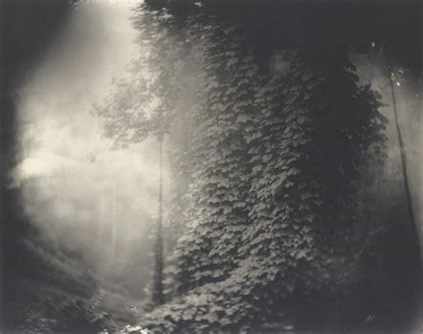 Landscape Photography By Sally Mann — Landscape Architecture Platform