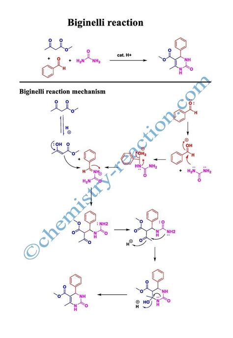 Biginelli Reaction Organic Chemistry Reaction