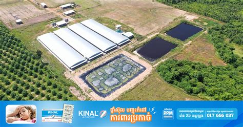 ក្រសួងបរិស្ថាន ឱ្យកសិដ្ឋានចិញ្ចឹមជ្រូកចំនួន៥កន្លែង បញ្ឈប់ការបញ្ចេញសំណល់កខ្វក់ ទៅទីសាធា រណៈ