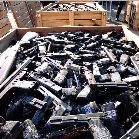 Aoshima La Isla De Los Gatos Infobae