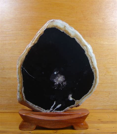 야자나무화석상패334 신비의목화석