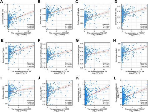 The Correlation Analysis Of Fdc Sp With Immune Cells And Immune Download Scientific Diagram