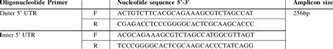 Nested Rt Pcr Primers And Their Sequence Download Scientific Diagram